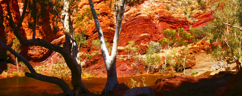 Buy pictures of The Pilbara, photos of The Pilbara, photographs of The ...